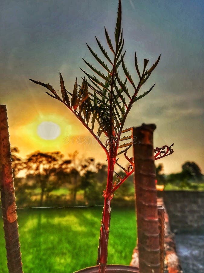 Effect of lights stock image. Image of evening, amazing - 149804591