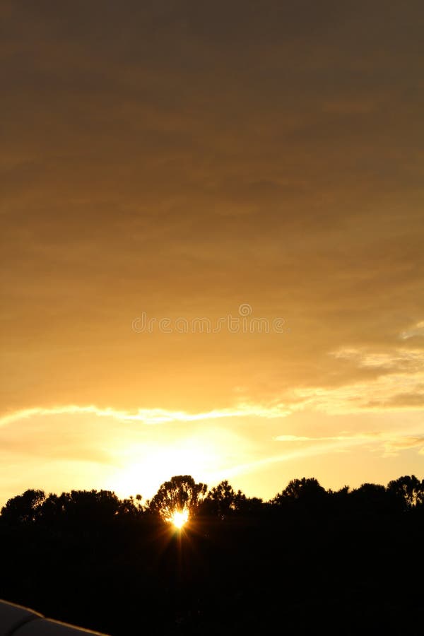 The Sun Gives Hope in a Tree Stock Image - Image of tree, amazing ...