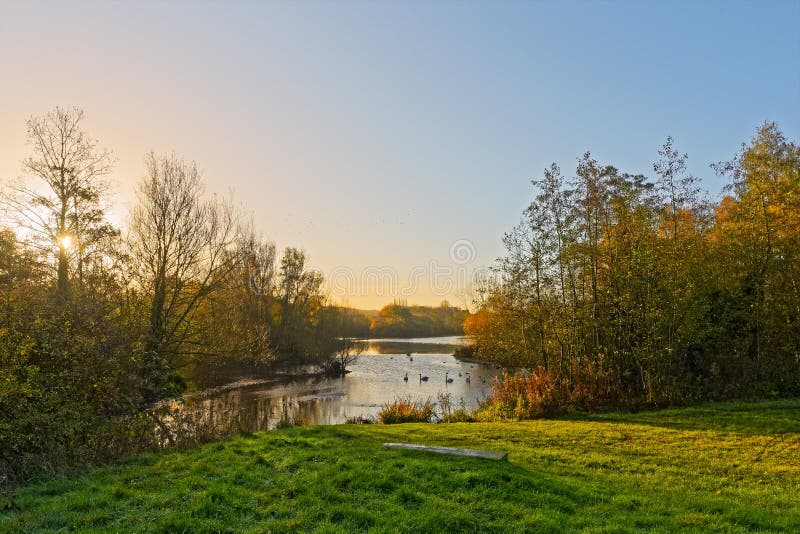 Sunrise Over a Small Tree Lined Lake Stock Photo - Image of nature ...