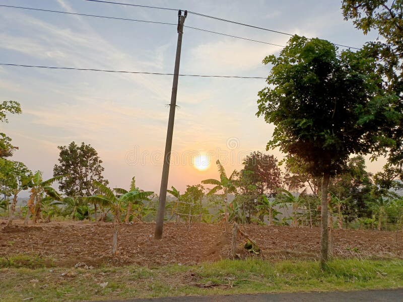 When the Sun Goes Down, Drop Whatever You& X27;re Doing and Watch Stock ...