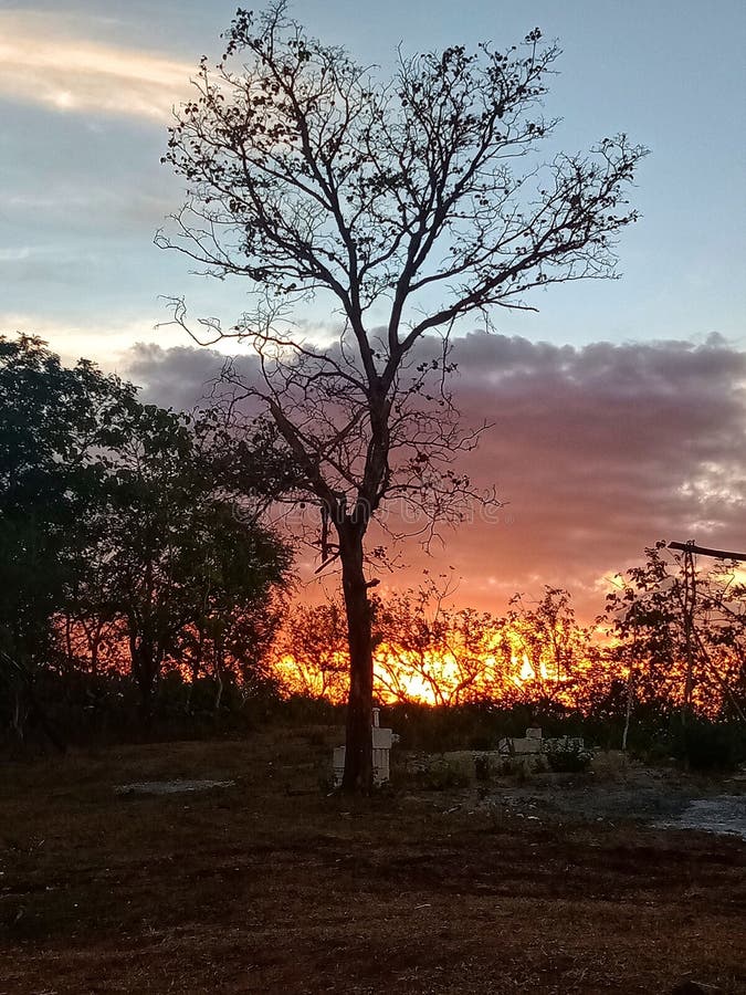 When the Sun Goes Down stock photo. Image of looks, beautiful - 221958484