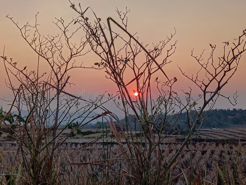 The Sun Goes Down Like the Wind Passes Stock Image - Image of berlalu ...