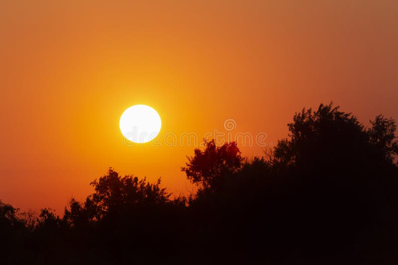 Sun Going Down Behind Trees at Sunset Stock Image - Image of scenery ...