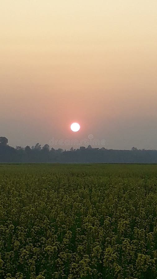 The Sun is Going Down for this Day Stock Photo - Image of friday: 146790340