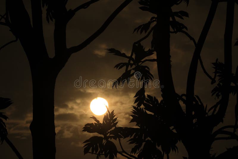 The sun is going up stock image. Image of sunlight, screenshot - 230394441