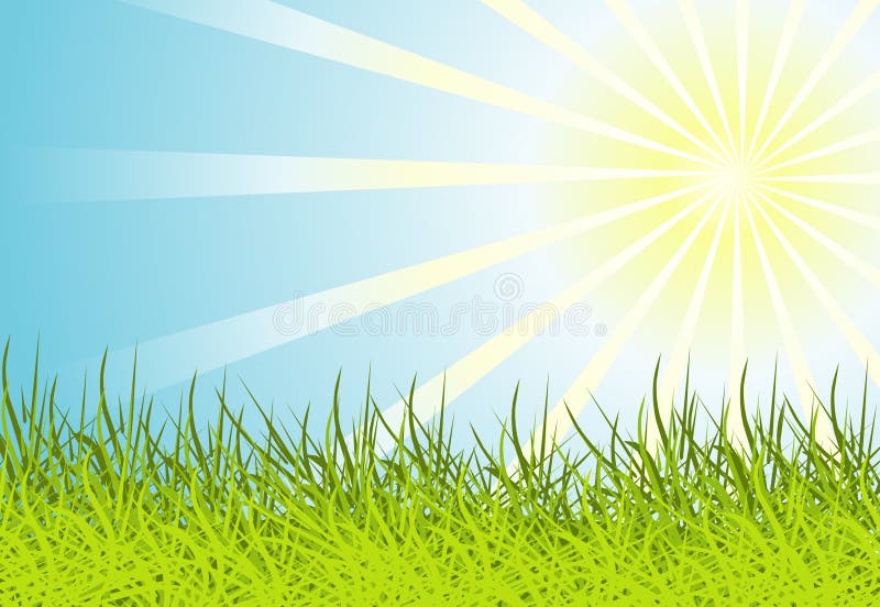 Sun and grass background stock vector. Illustration of wallpaper - 4824344