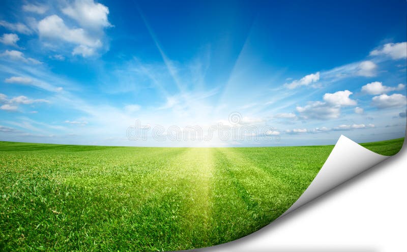 Sun and Green Fresh Grass Field Blue Sky Sticker Stock Image - Image of ...