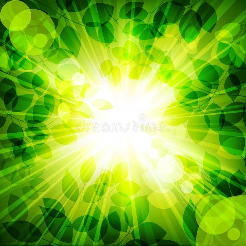 Sun in green leaves stock vector. Illustration of freshness - 18151220