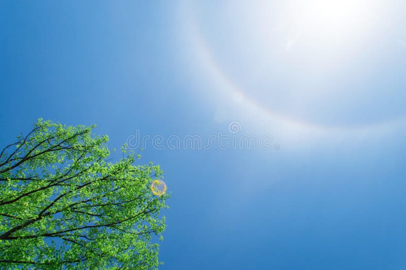 Sun halo stock photo. Image of sunshine, summer, phenomenon - 92280362