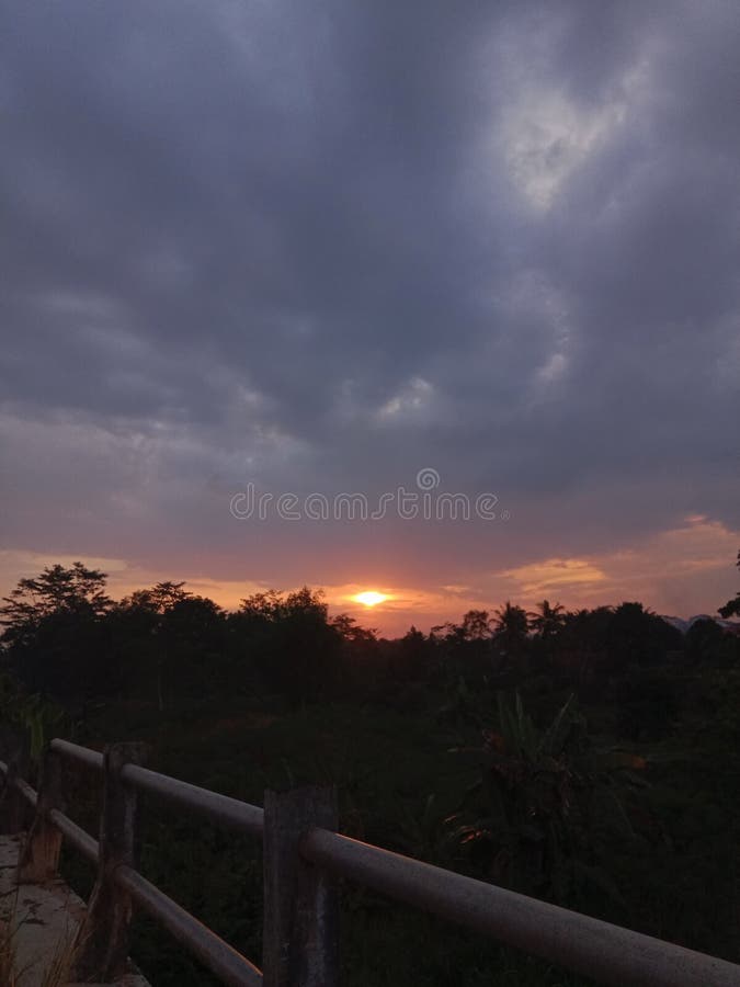 The Sun is Setting Behind the Tree Stock Photo - Image of setting ...