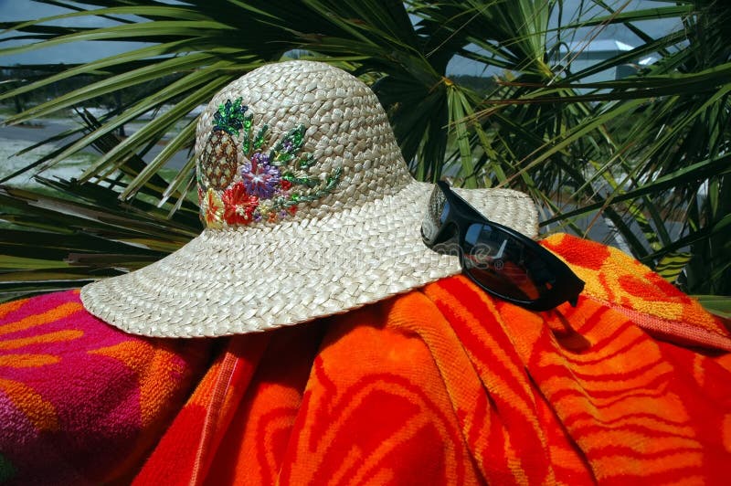 Sun Hat and Palm Tree stock photo. Image of tropical, tree - 2598570