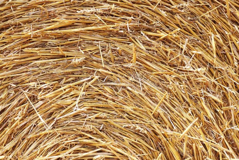 Haystack Texture Background Stock Photo - Image of summer, background ...