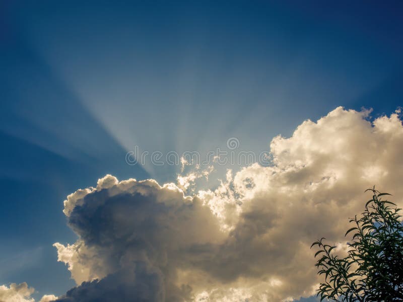 The Sun, Hidden Behind a Mass of Clouds, Projects Rays of Light and ...