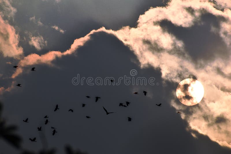 Sun hide behind the clouds stock photo. Image of clouds - 204571118
