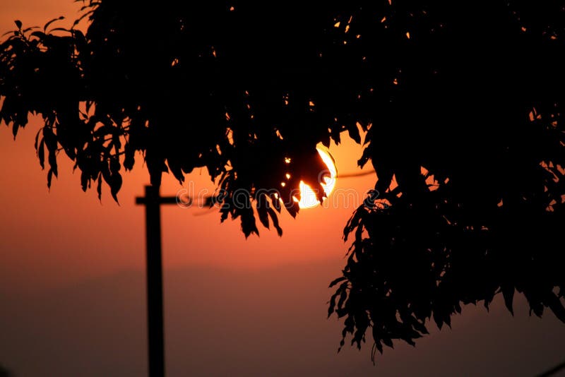 Sun Hiding Behind the Tree on a Beautiful Evening Stock Photo - Image ...