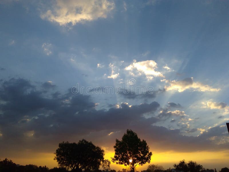 Helios`s Tree Sunset Landscape Stock Photo - Image of helios, tree ...