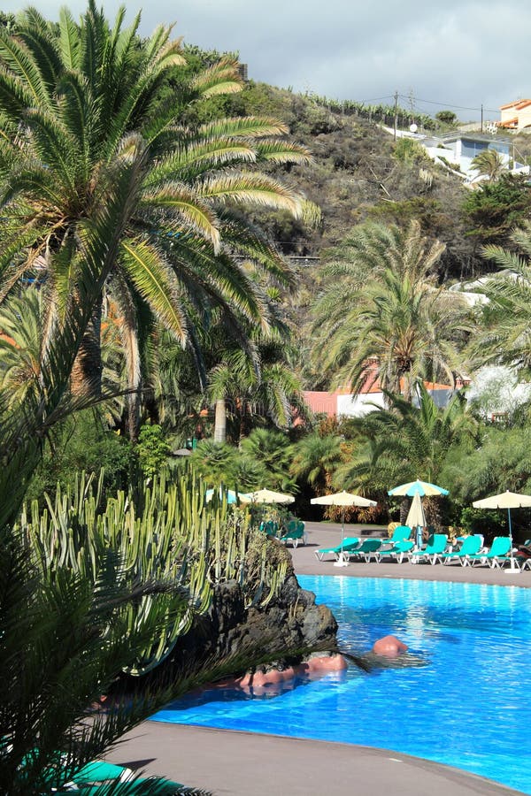 Sun holiday stock image. Image of beautiful, plants, leisure - 28332359