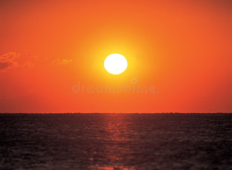 Sun And Horizon Picture. Image: 943839