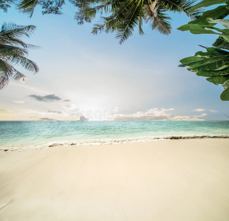 Sun and island beach stock photo. Image of blue, summer - 18173294