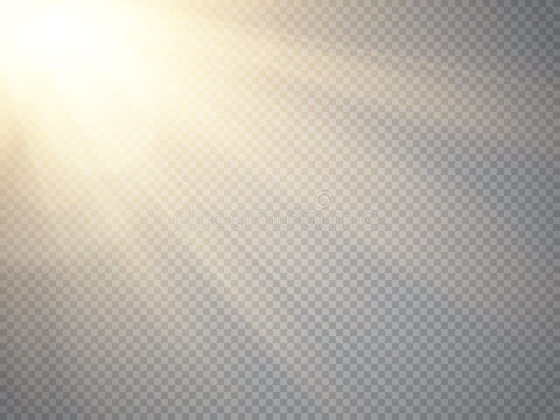 Sun Isolated on Transparent Background. Vector Illustration. Stock ...