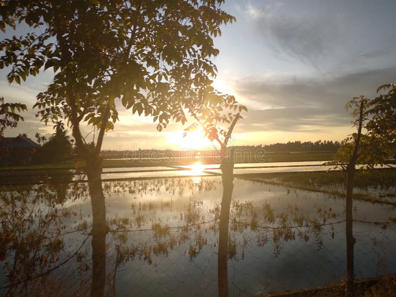 Sun in the land fields stock photo. Image of natural - 261739712