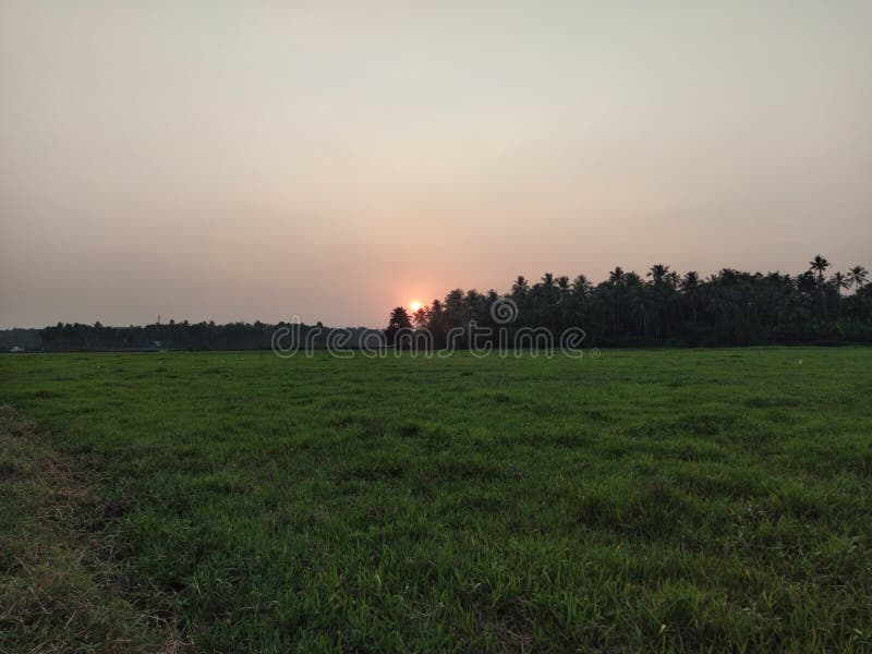 Sun Light Behind the Tree and and Beautiful Place Stock Image - Image ...