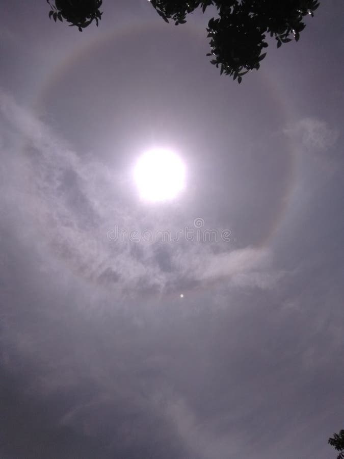 Sun light circle stock photo. Image of circle, leaf - 155660252