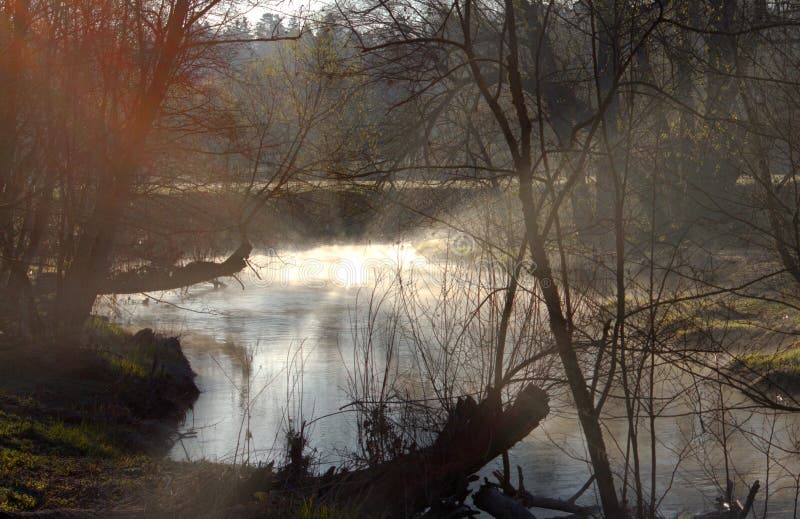 Sun light over river stock photo. Image of river, rivers - 246484626