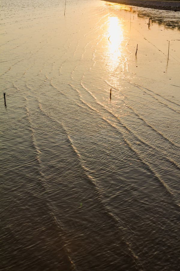 Sun Light Reflect on Sea Wave on the Beach Stock Photo - Image of coast ...