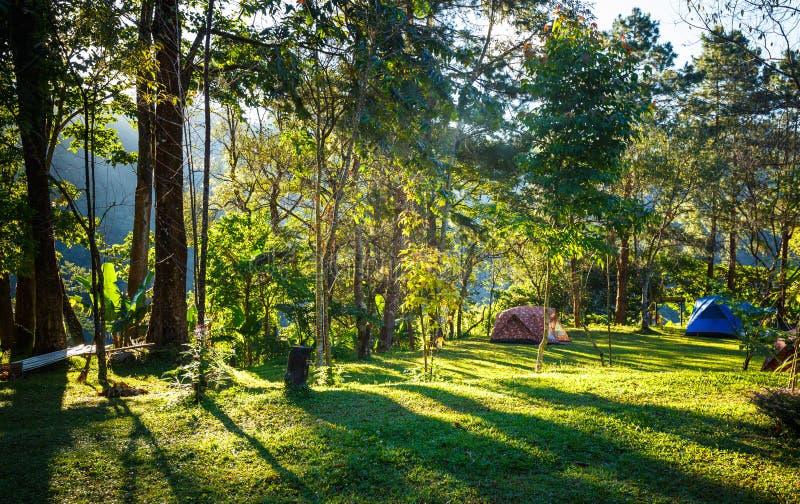 Throught Campling Stock Photos - Free & Royalty-Free Stock Photos from ...