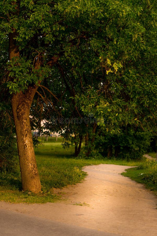 Lighted Path Light stock image. Image of beautiful, shine - 16448515