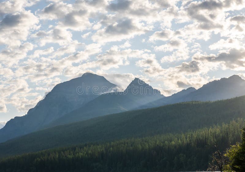 Sun Lights Pine Forest Below Glacier Peaks Stock Image - Image of ...