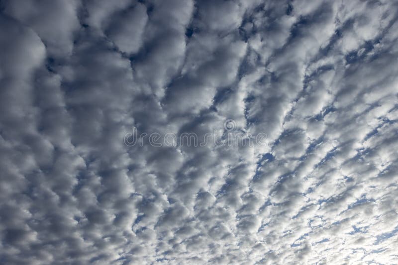 Sun Lit Chunky Clouds Covering Blue Sky at Sunrise Stock Image - Image ...