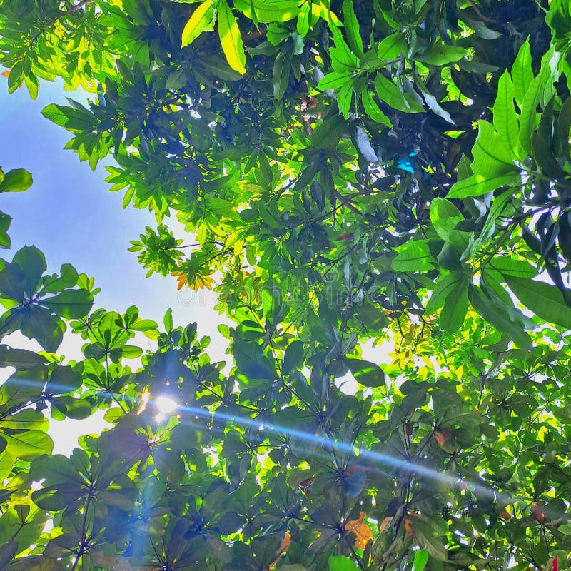 The Sun that Looks Shy in the Middle of the Day Stock Image - Image of ...