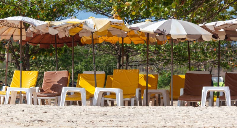 Sun Loungers with Umbrellas on the Sandy Beach Stock Image - Image of ...
