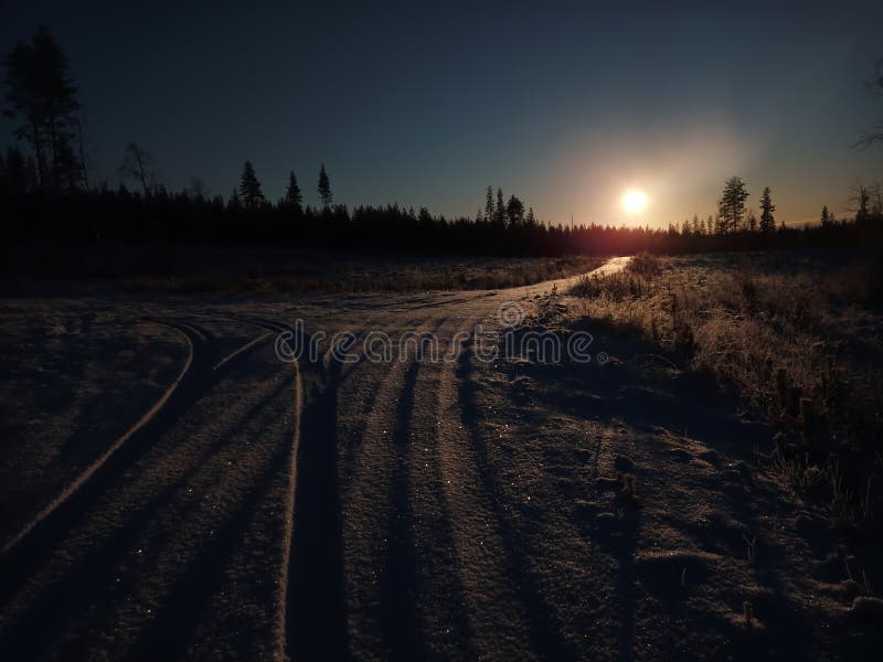 The Sun is Low in Northern Sweden Stock Image - Image of dark, backlit ...