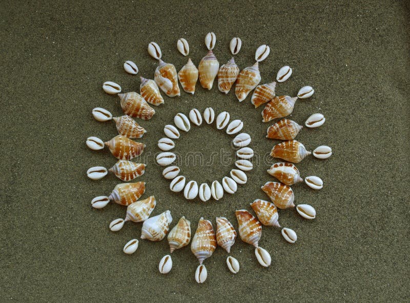 Sun made of shells stock photo. Image of shells, shell - 74132388