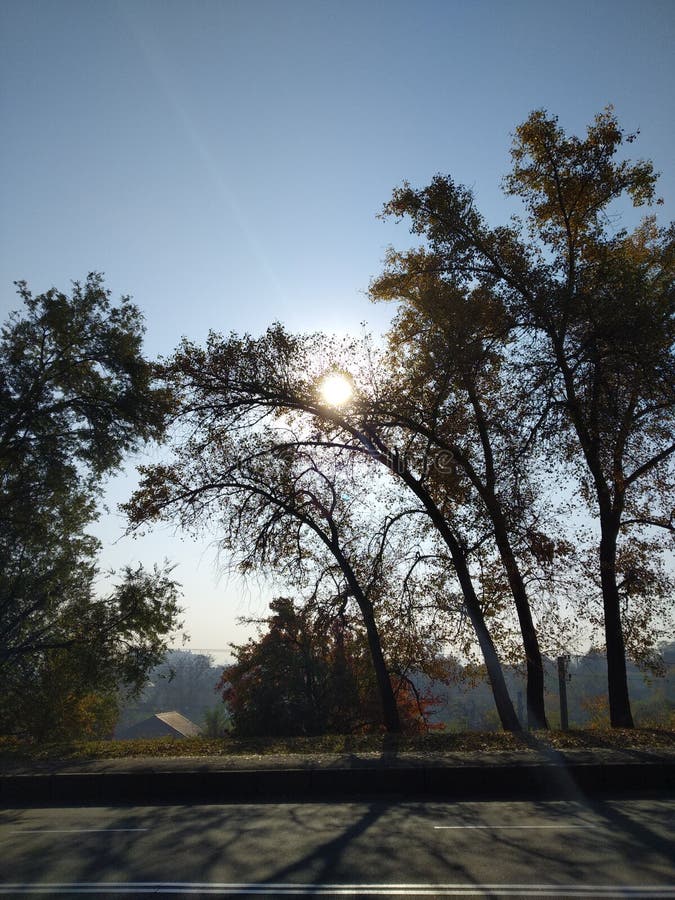 Sun magic stock photo. Image of sunrays, sunlight, magic - 160099038