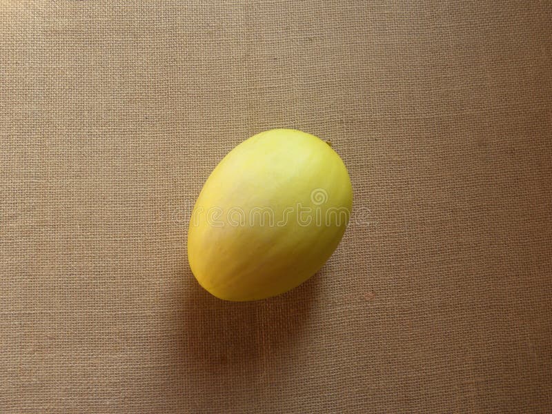 Sun melon fruit isolated stock photo. Image of berry - 170606606