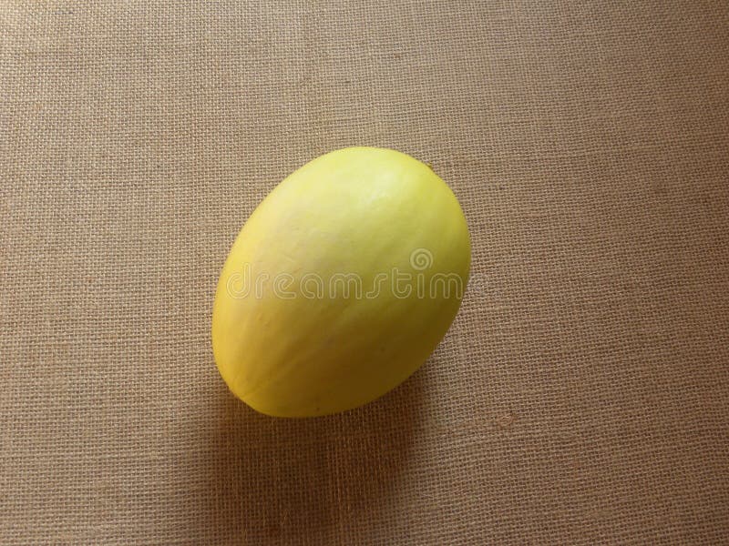 Sun melon fruit isolated stock photo. Image of berry - 170606606