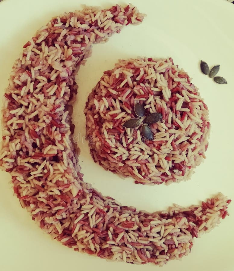 Sun and moon vintage stock photo. Image of plate, protein - 147999880