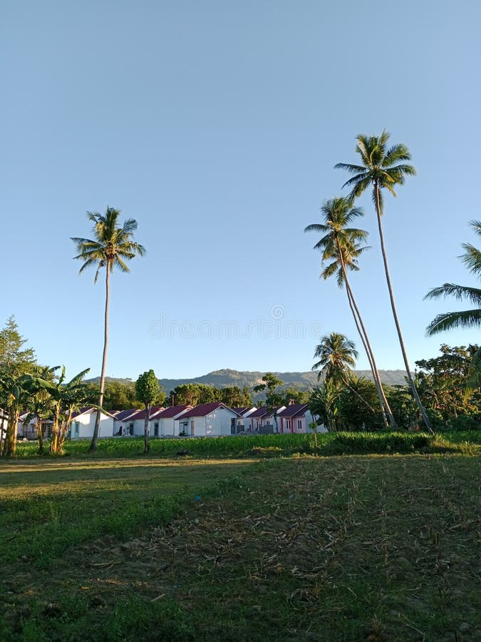 Beautifull Morning Scenery stock photo. Image of morning - 281410830