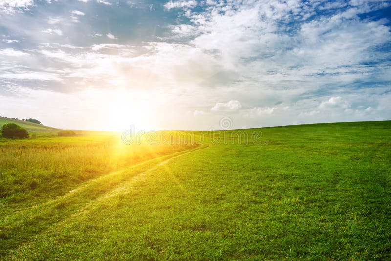 Sun Near the Horizon and Green Field Stock Image - Image of idyllic ...