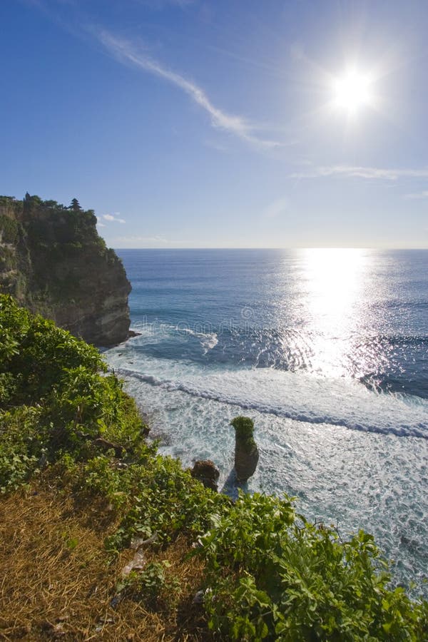 Ocean Cliff stock image. Image of cliff, tree, plant, background - 5862429