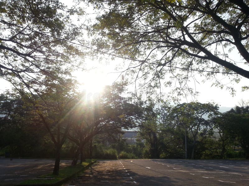 The Sun Open Space Trees Shadow. Stock Image - Image of open, space ...