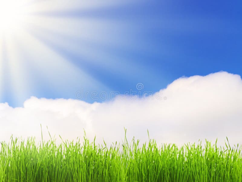 Sun over the field stock photo. Image of clouds, spring - 13535238