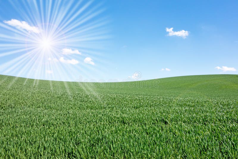 Sun over field stock image. Image of colorful, hill, clear - 31185855