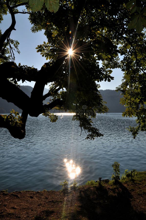 Sun over the lake stock photo. Image of water, summer - 36413274