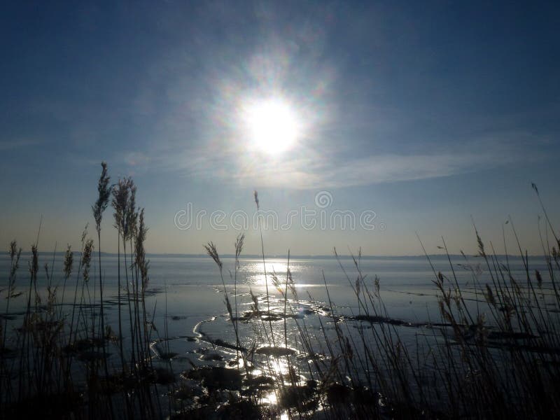 Sun over River stock image. Image of river, grass, shimmer - 50654331