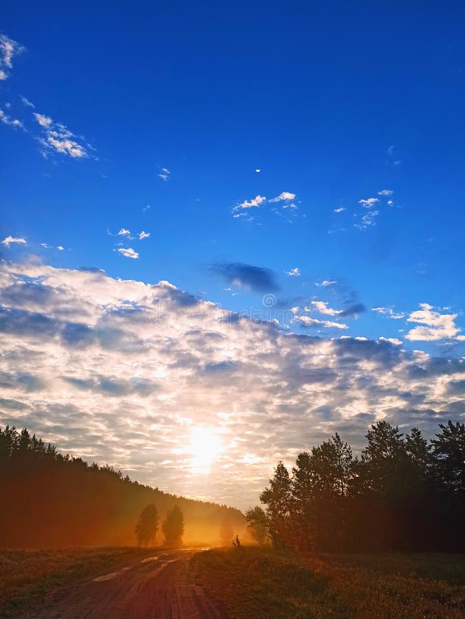 The sun over the trees stock photo. Image of cumulus - 223026356